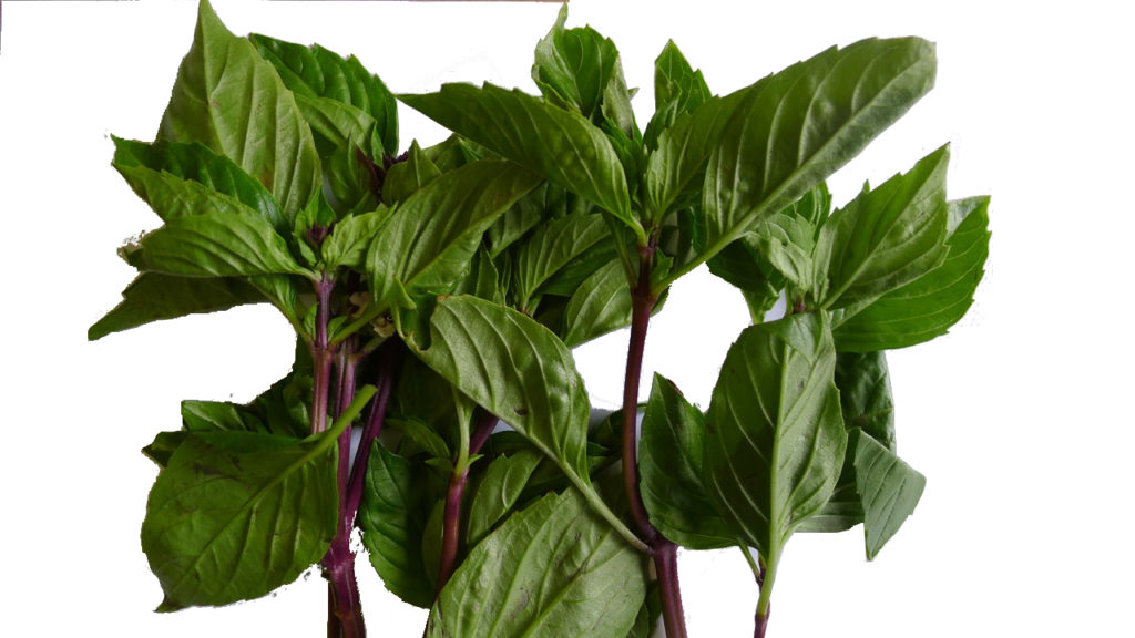 (LB) Basil Thai 15lb cs – Sun Food Warehouse