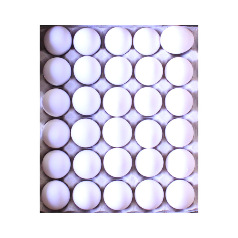 Eggs Extra Large 15 doz (Chicken) – Sun Food Warehouse