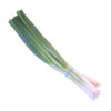 Onion King Green CELLO 2/24/48ct – Sun Food Warehouse