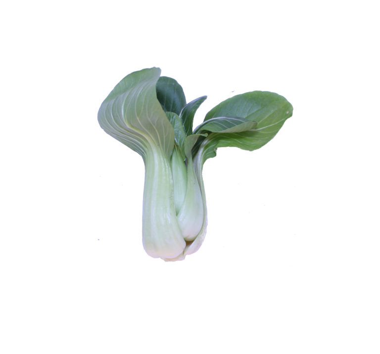 Choi Miu Baby Bok Choy Miu – Sun Food Warehouse